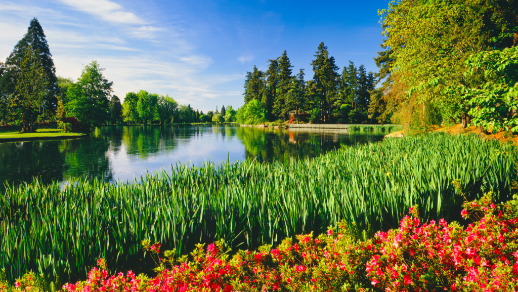 Everything You Need to Know About Moving to Tigard, OR - Redefyne ...